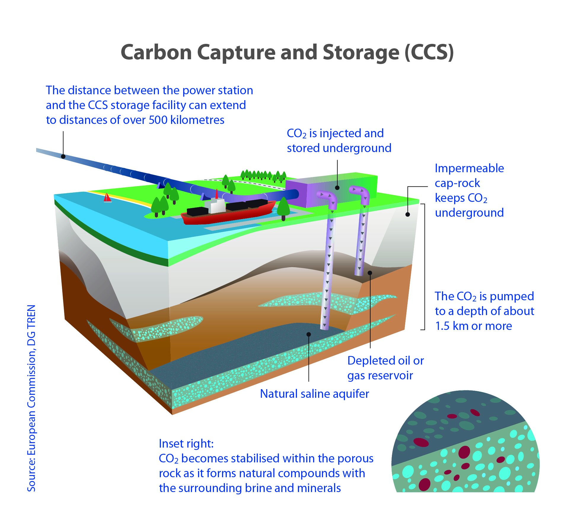 Carbon Capture Storage and Carbon Capture Utilization