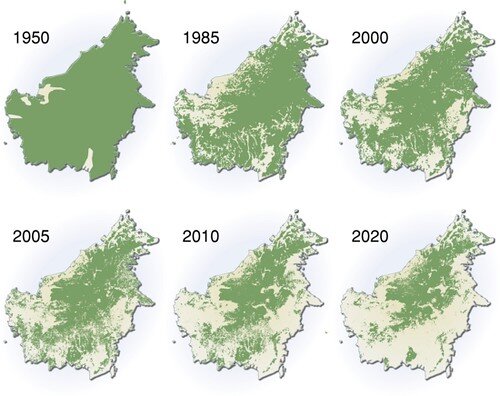 Borneo - The World’s Oldest Living Ecosystem Under Threat