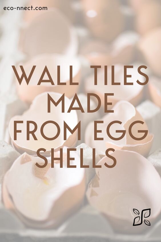 Wall tiles made from eggshells | ECO-nnect