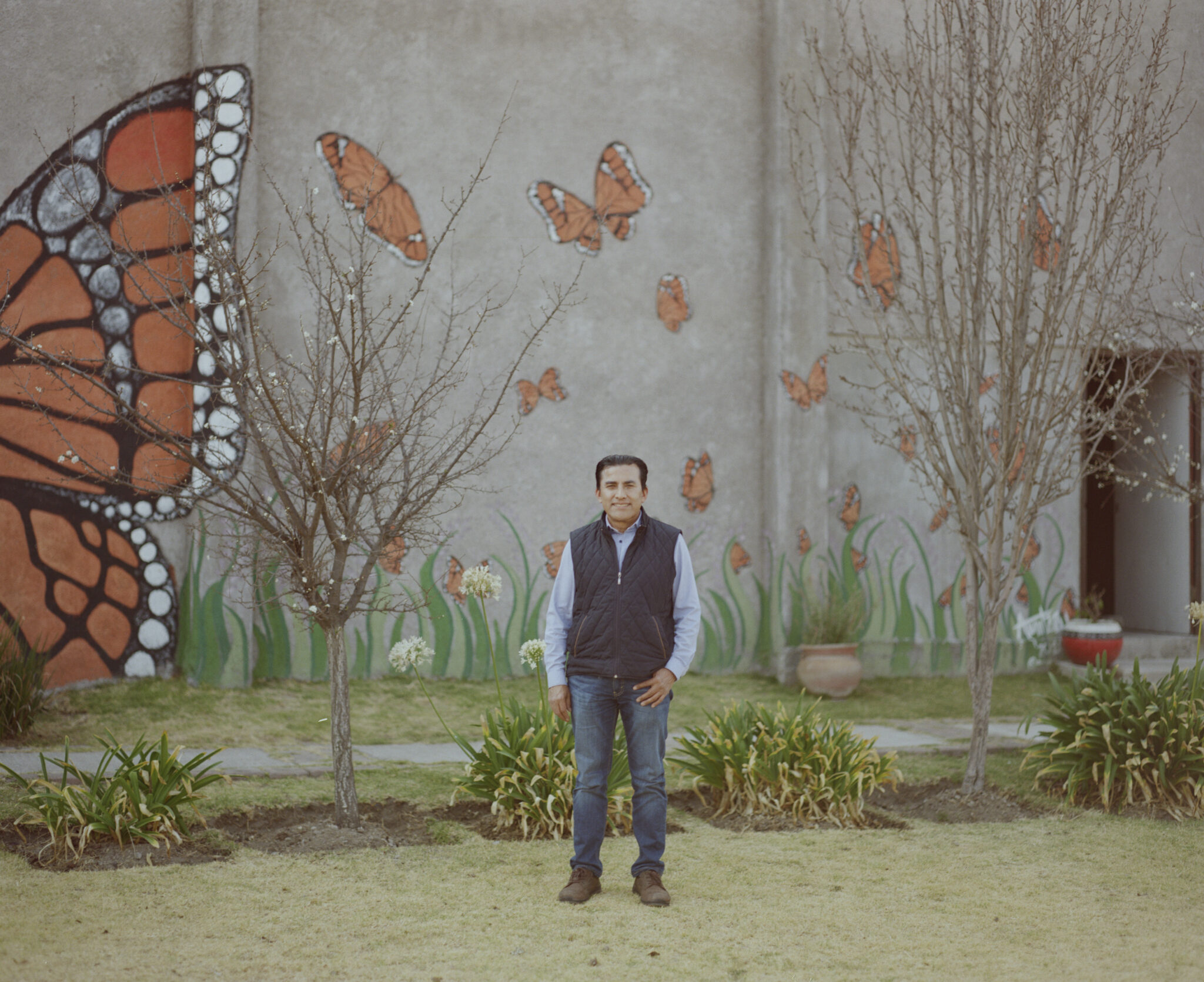 The Monarch of Mexico | Eco-nnect