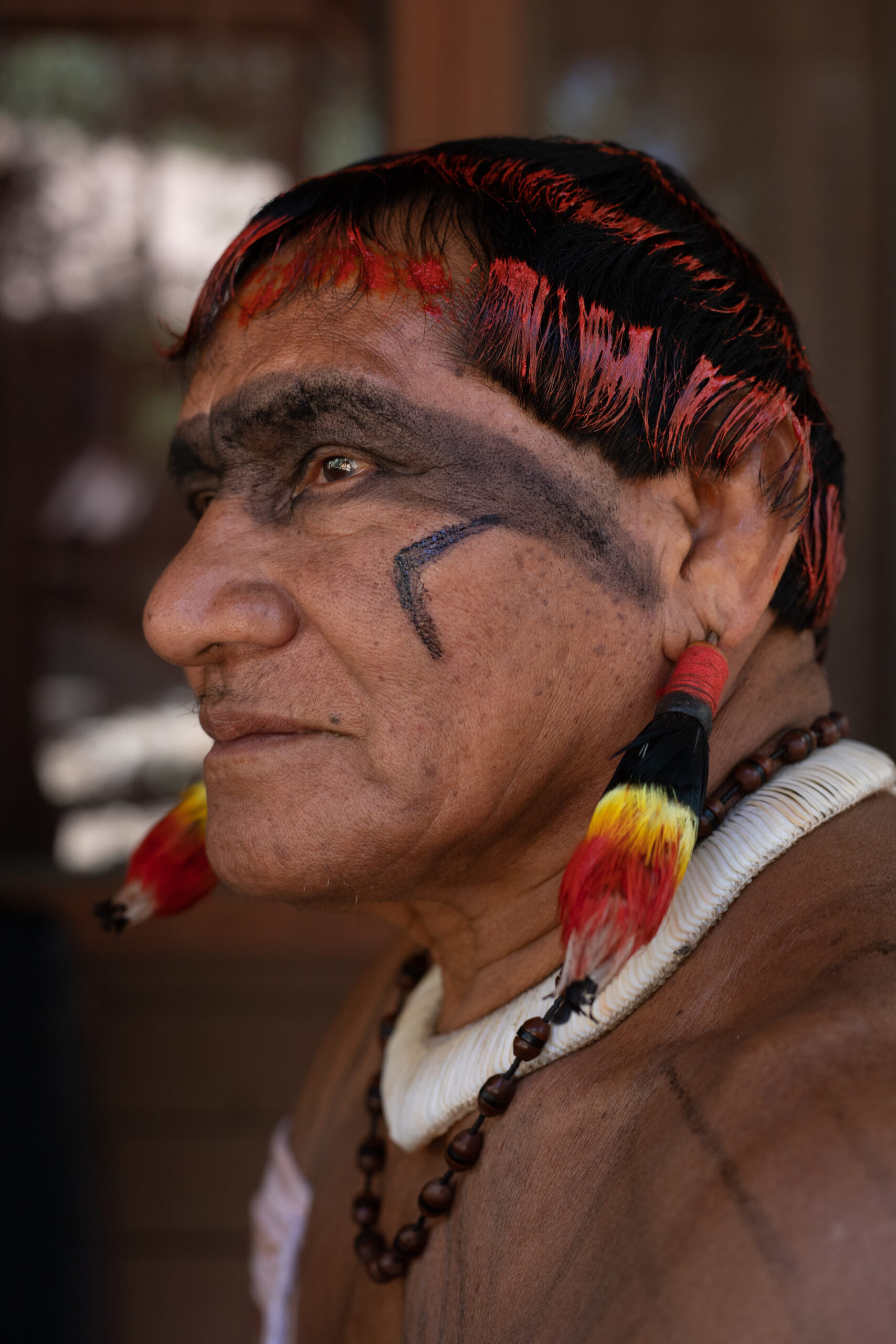 Gathering Life - eco-nnect